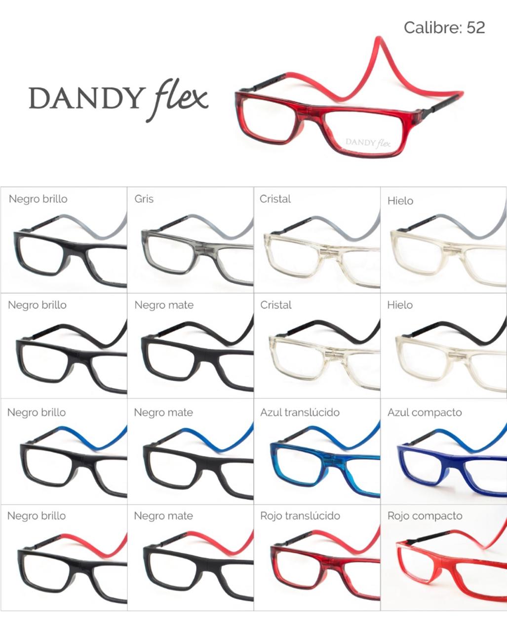 Anteojos Dandy Flex